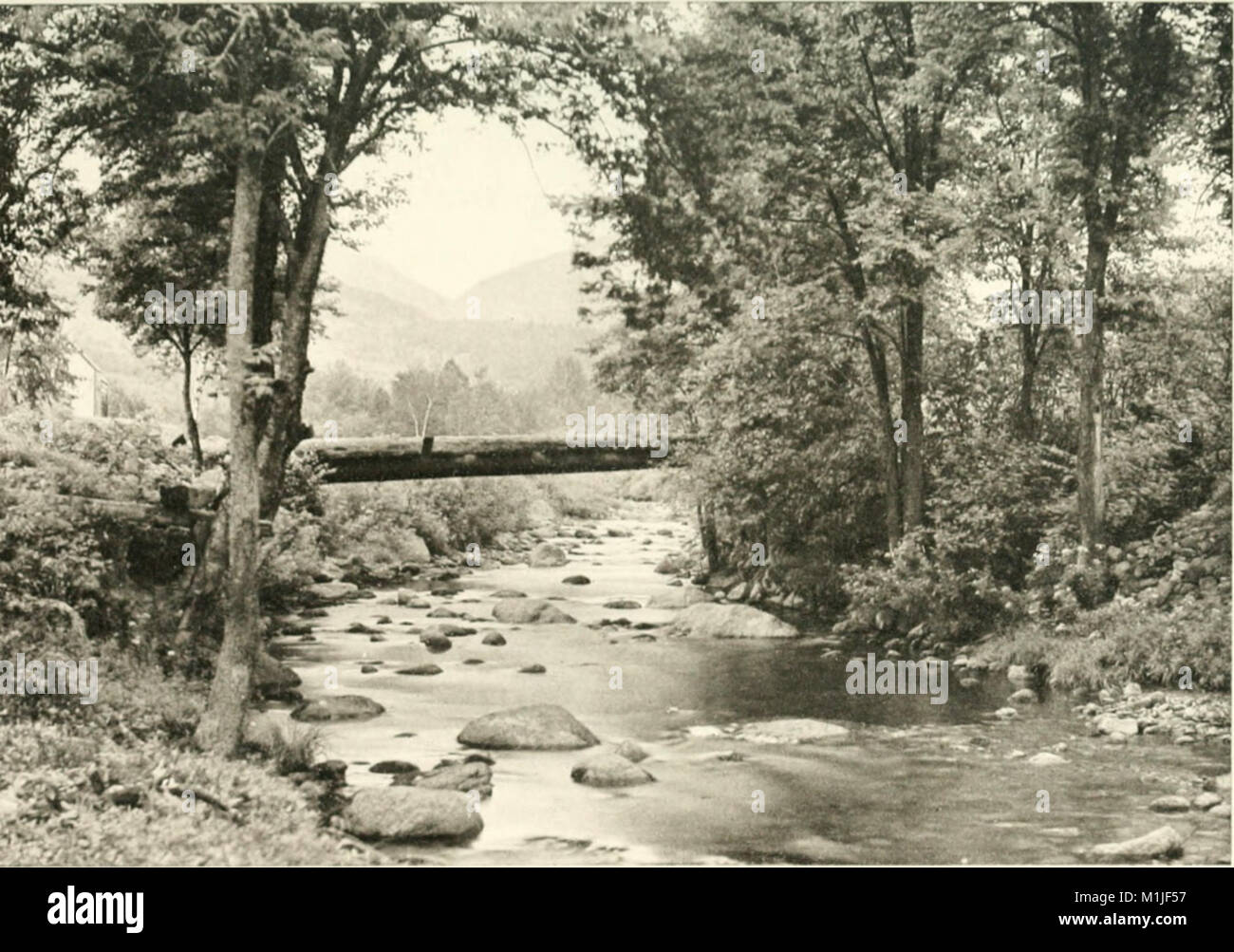 This 1900 publication offers a visual and descriptive tour of America ...