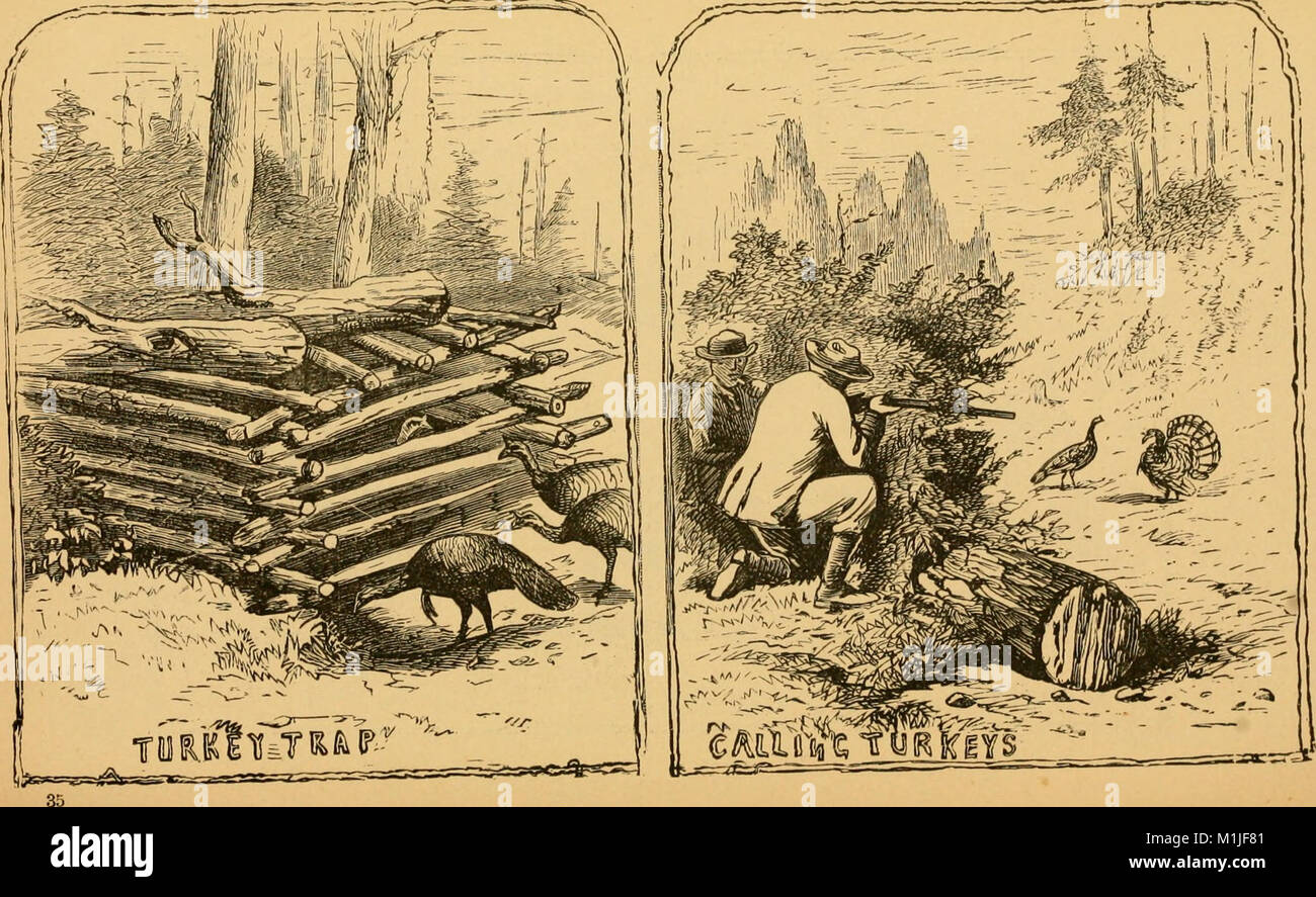 The 1882 work on American game bird shooting provides insights into ...