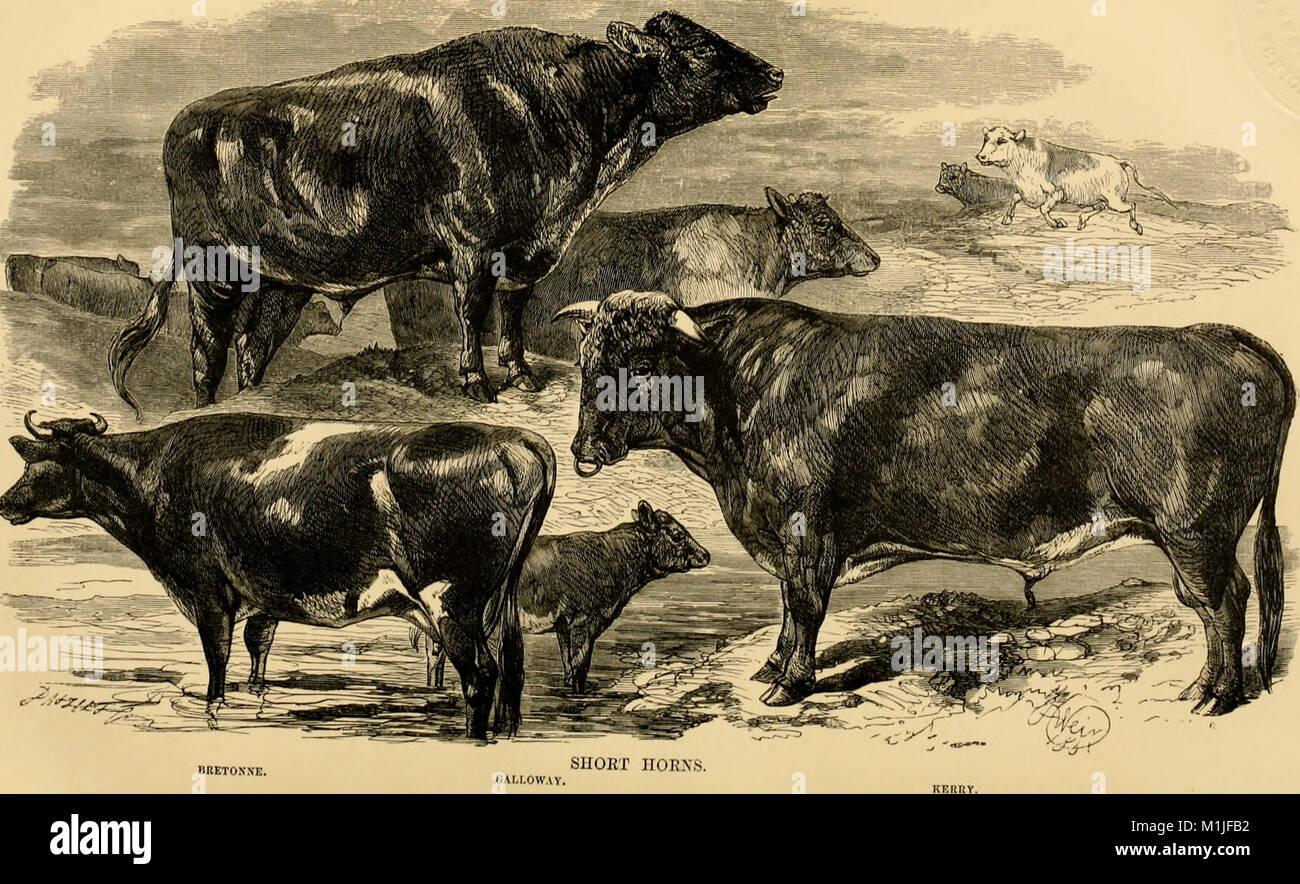 This 1866 work traces the history of agriculture, examining its ...