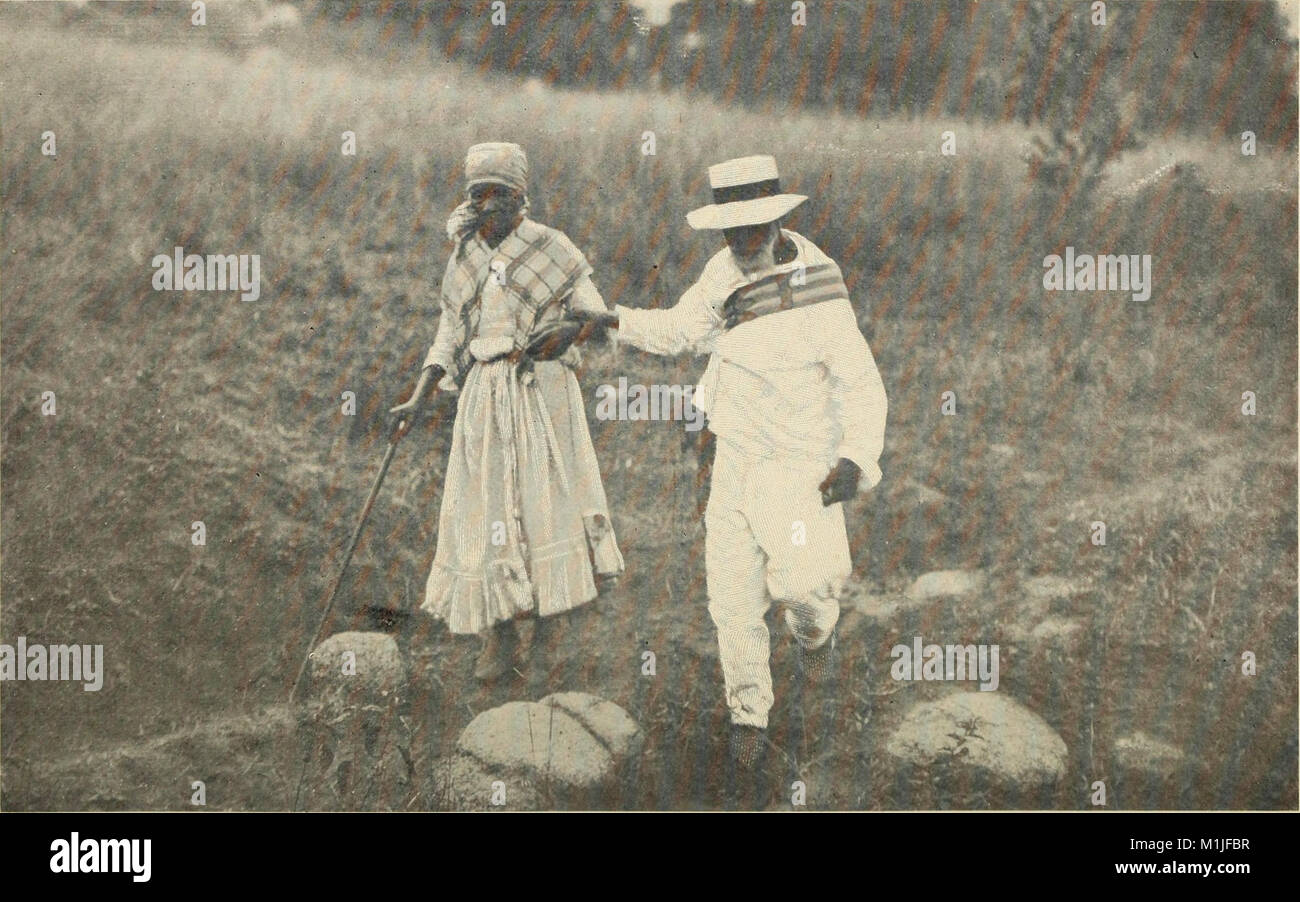 This illustrated history provides a comprehensive account of the ...