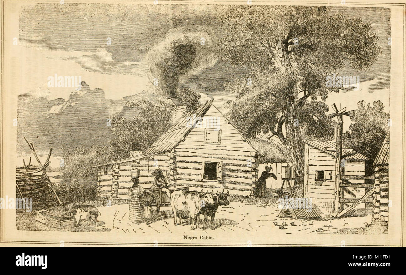 Published in 1848, this pictorial history offers a visual and textual ...