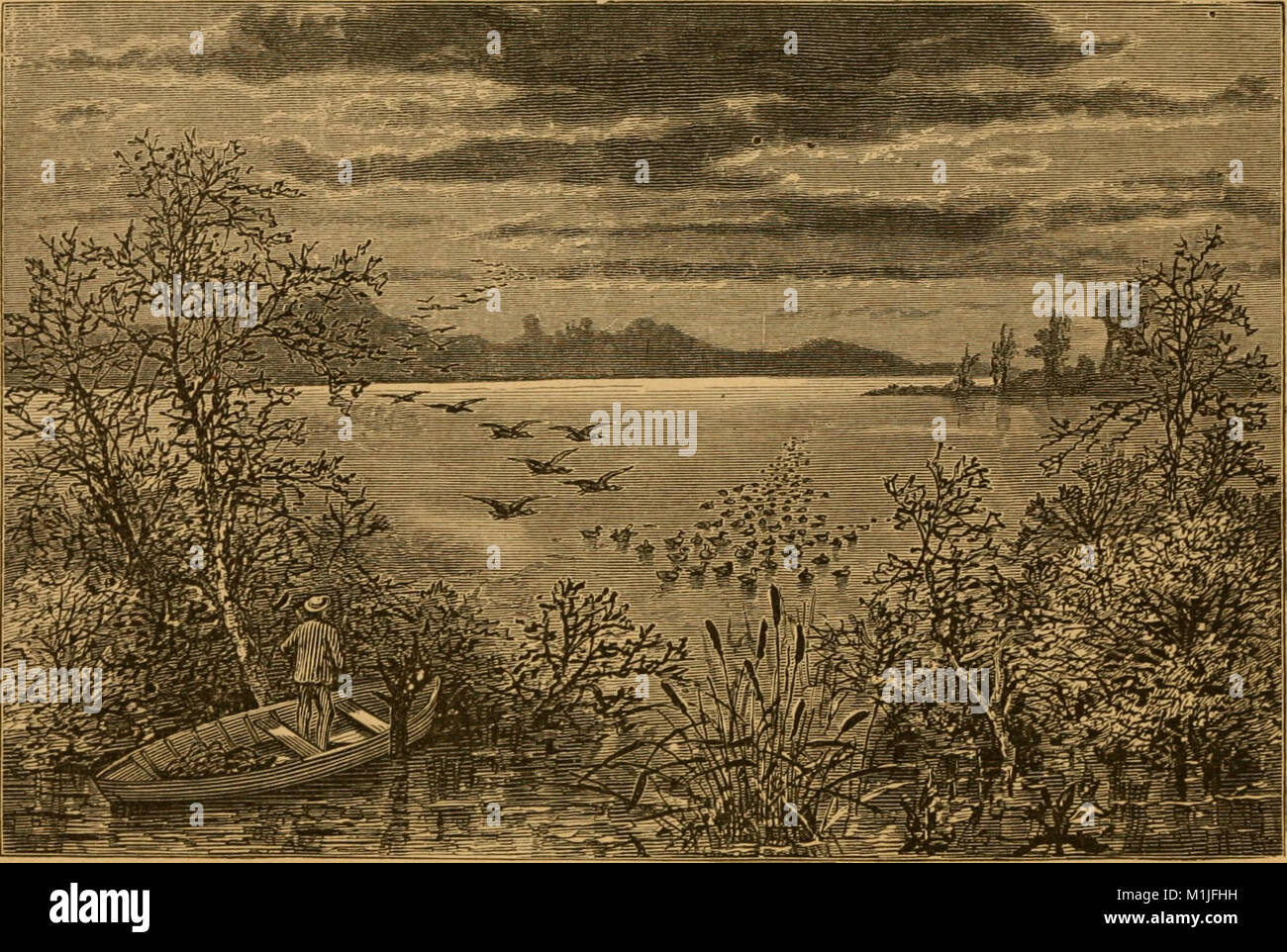 A 1879 guide to wild-fowl shooting in the western U.S., detailing ...