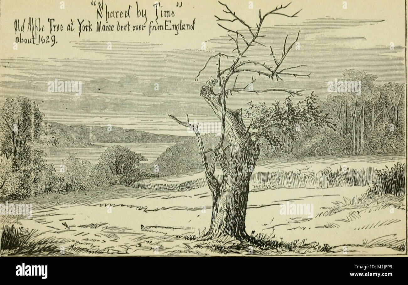 This 1894 work explores the history of the ancient city of Gorgeana and ...