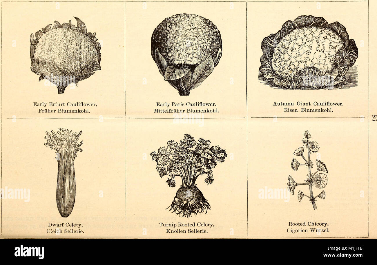 This 1886 catalogue provides a comprehensive guide for amateur ...