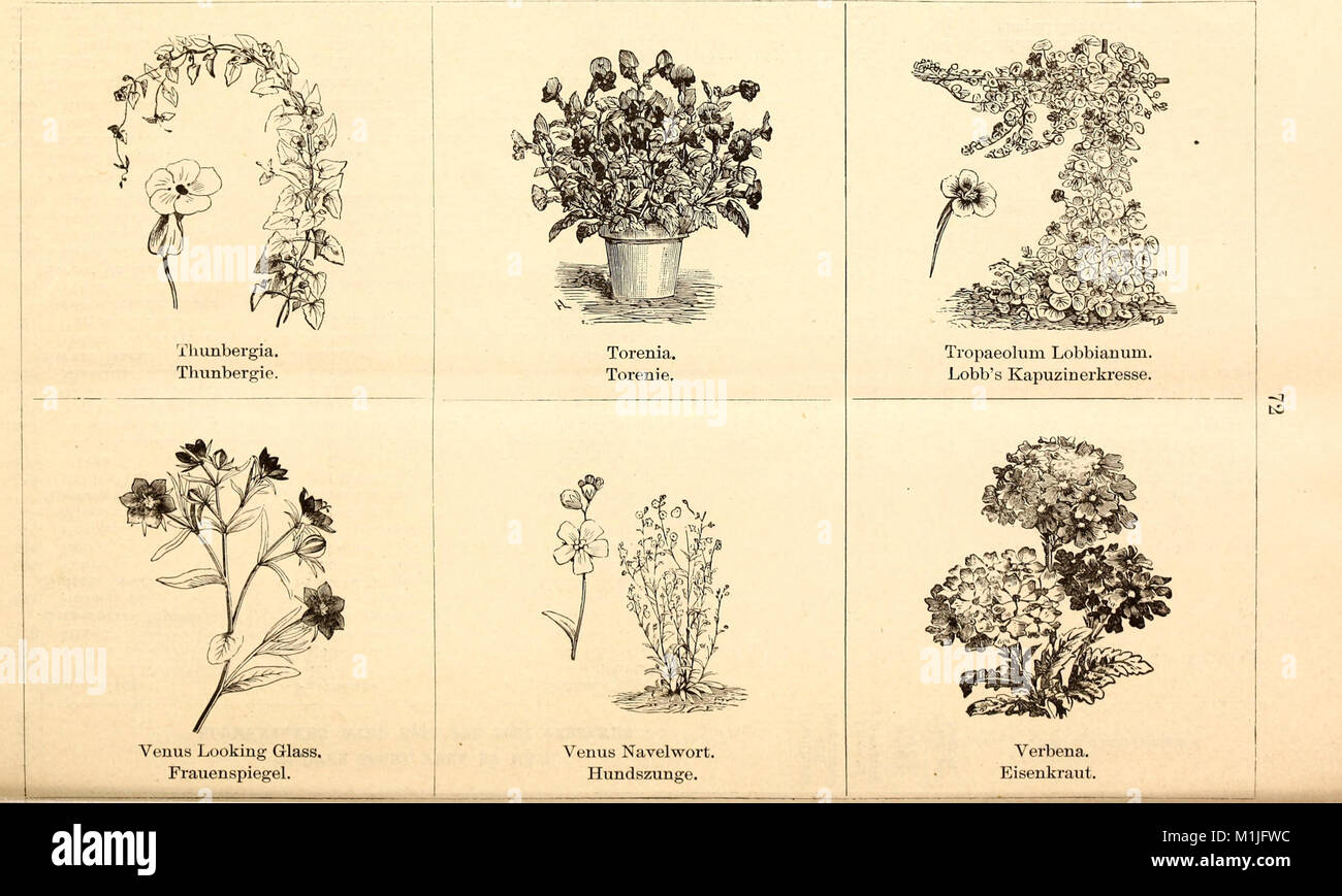 This 1886 guide offers detailed descriptions and illustrations of ...