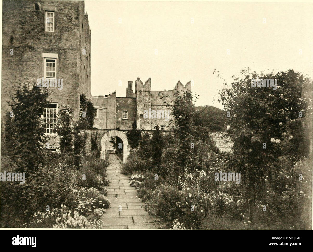 A history of the County Dublin; the people, parishes and antiquities ...