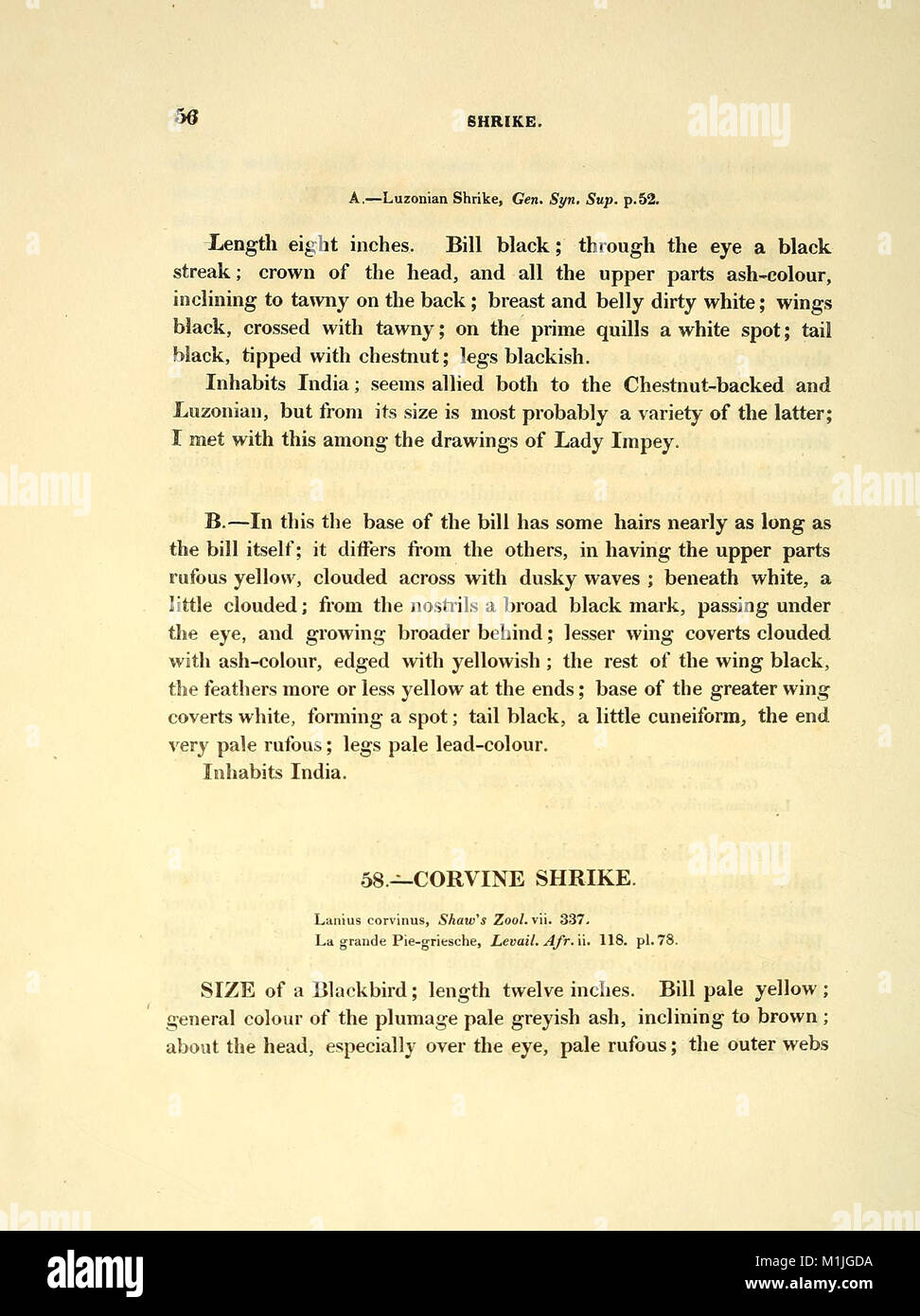 Published in 1822, this comprehensive work covers the history of bird ...