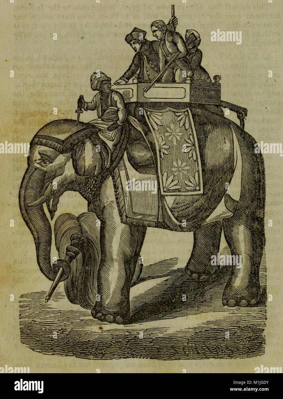 A new family encyclopedia, or, Compendium of universal knowledge ...