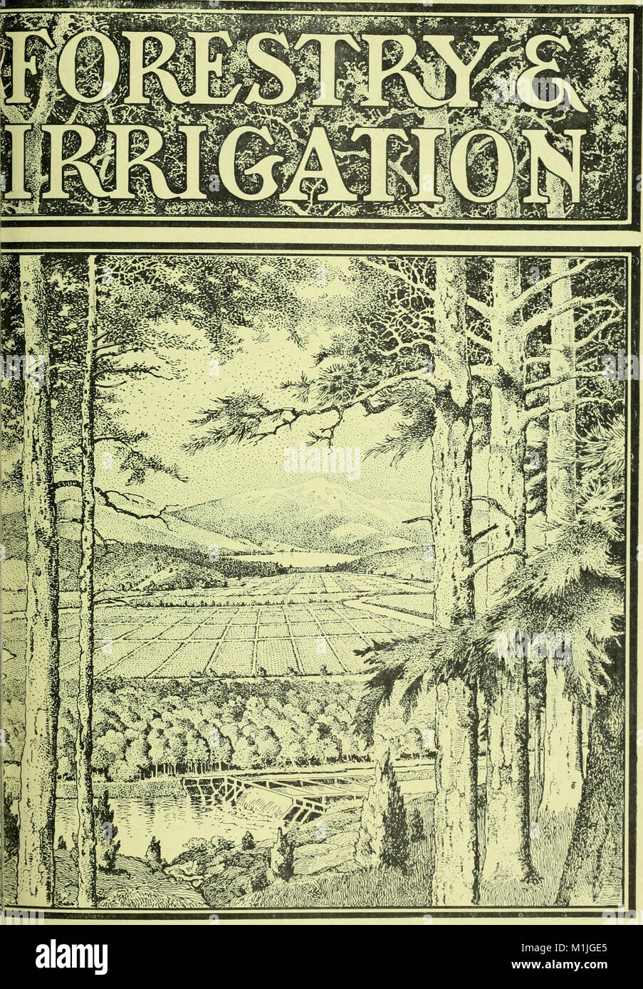 This publication offers a comprehensive look at American forests ...