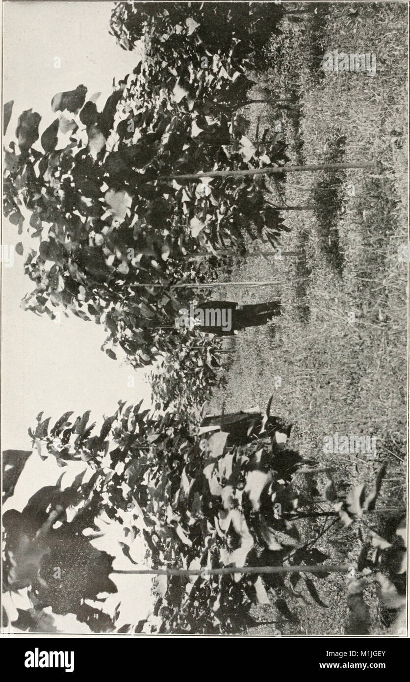 Text on forests forestry hi-res stock photography and images - Alamy