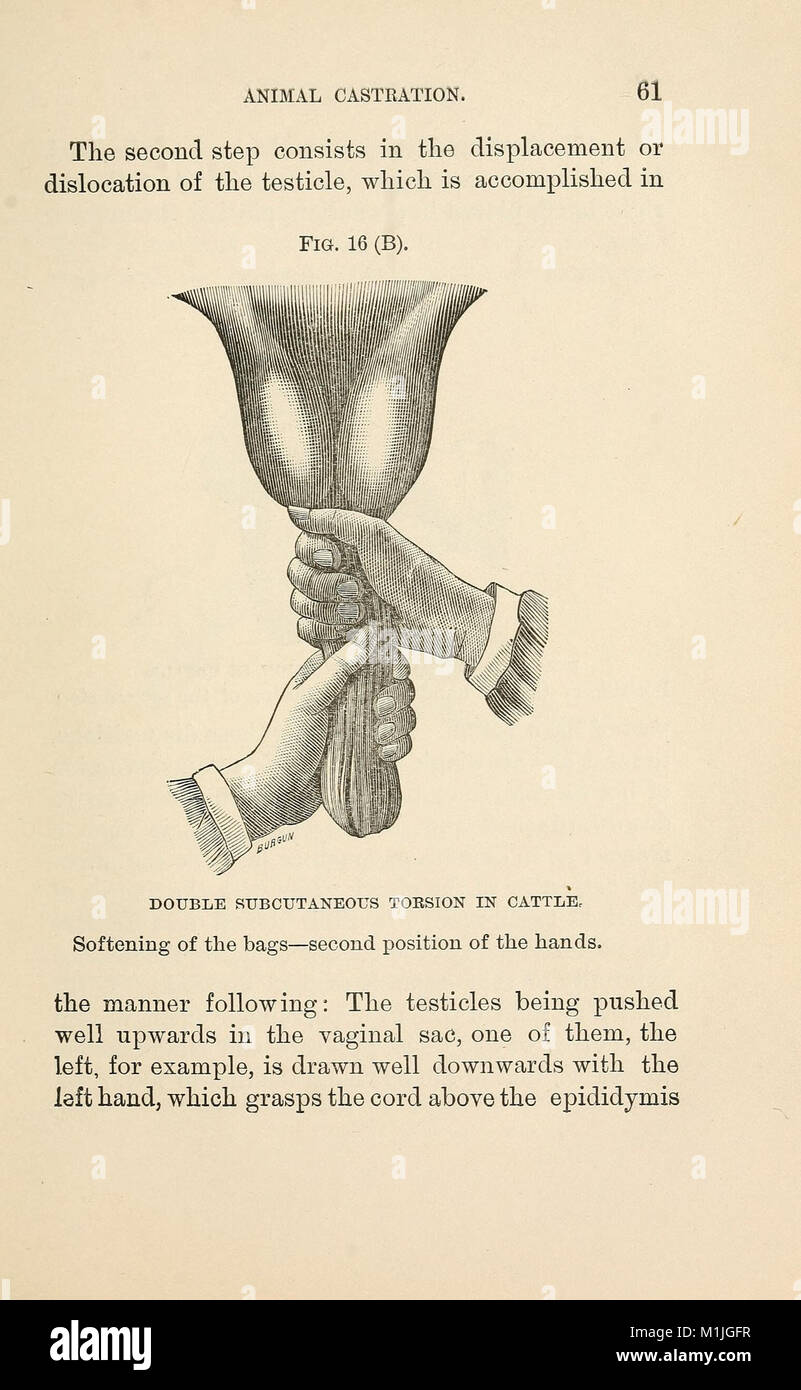 'Animal Castration' (1902) discusses the methods and practices involved ...