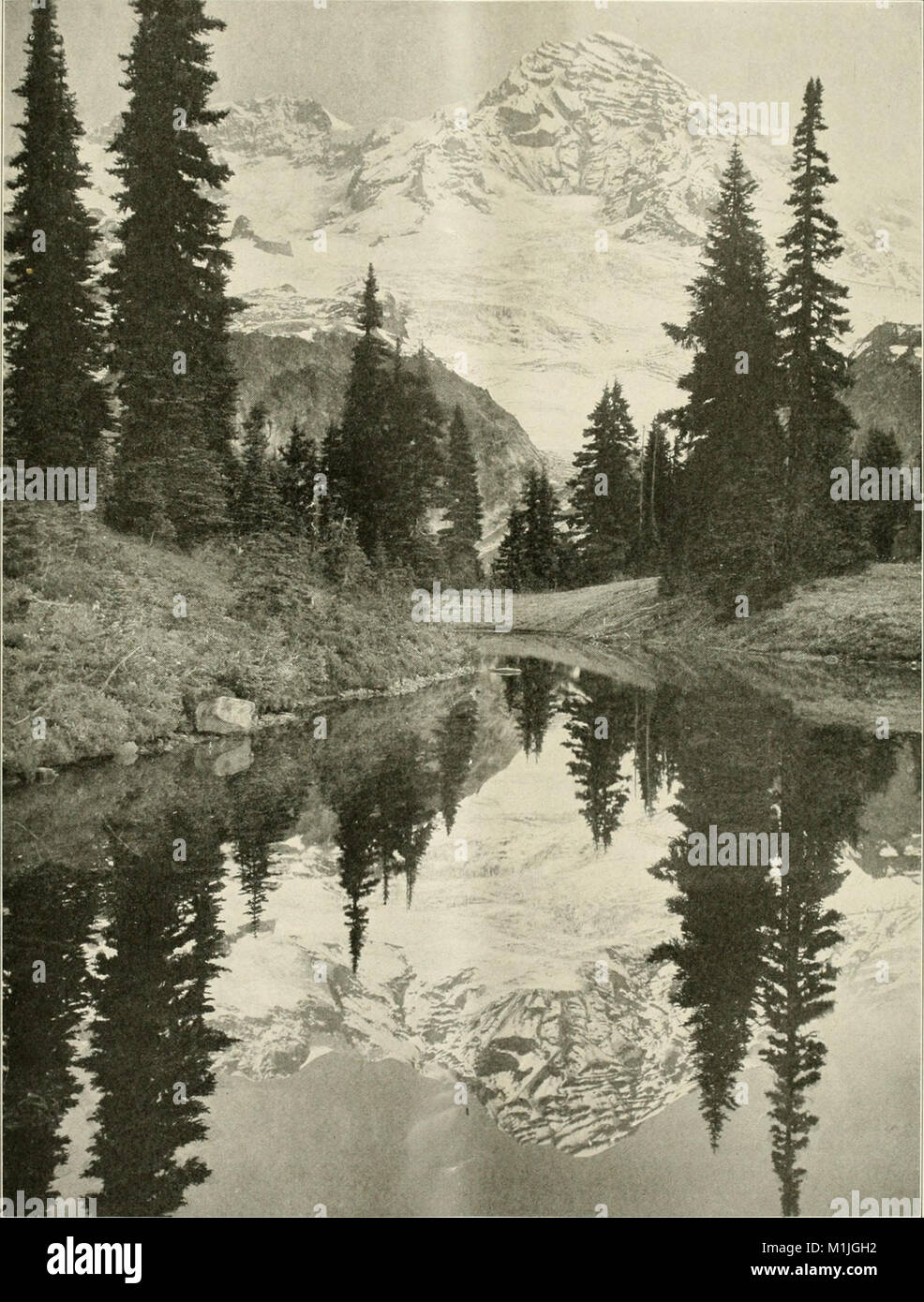 *American Forestry* (1910-1923) covers the development of the forestry ...