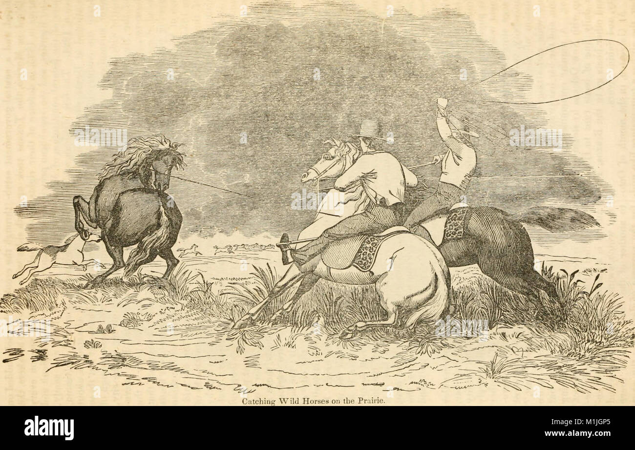 The 1848 'Pictorial History of the United States' provides a visual and ...