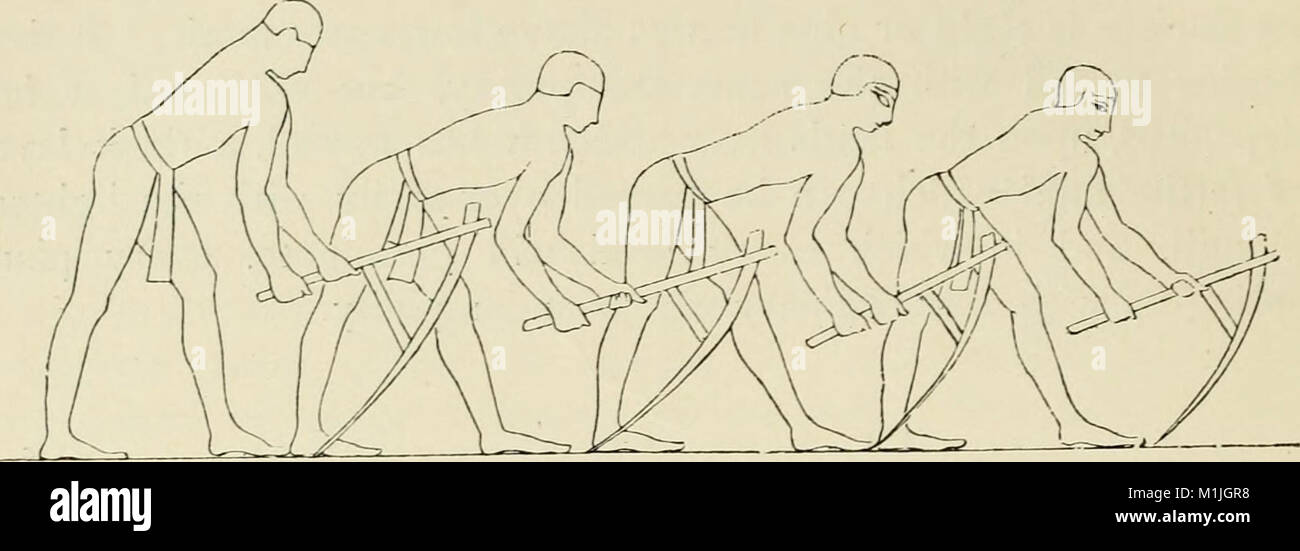 'A History of Art in Ancient Egypt' explores the development of ...