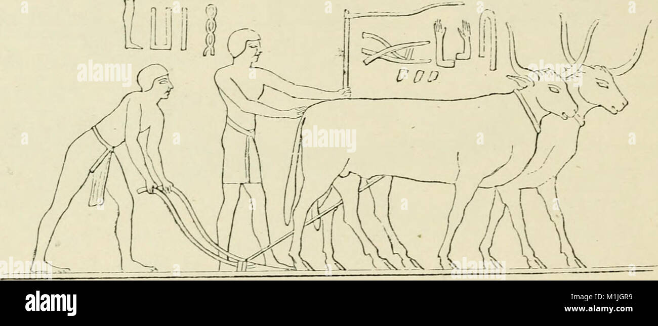 'A History of Art in Ancient Egypt' explores the artistic achievements ...