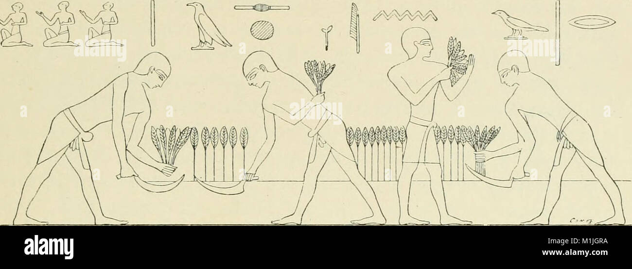 'A History of Art in Ancient Egypt' (1883) covers the development of ...