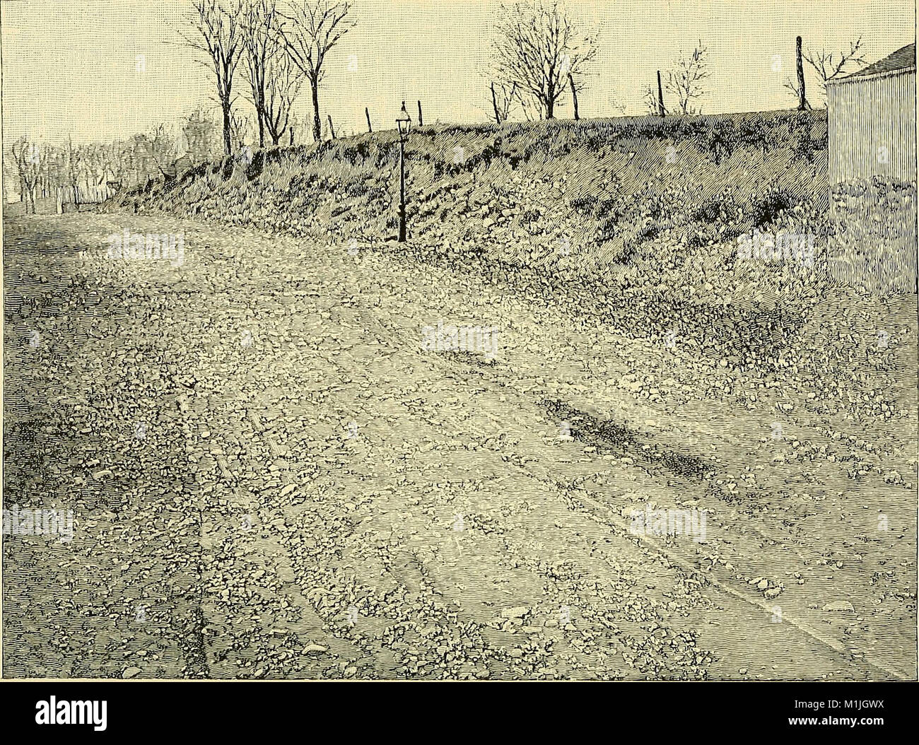 'American Highways' (1896) explores the state of road conditions across ...