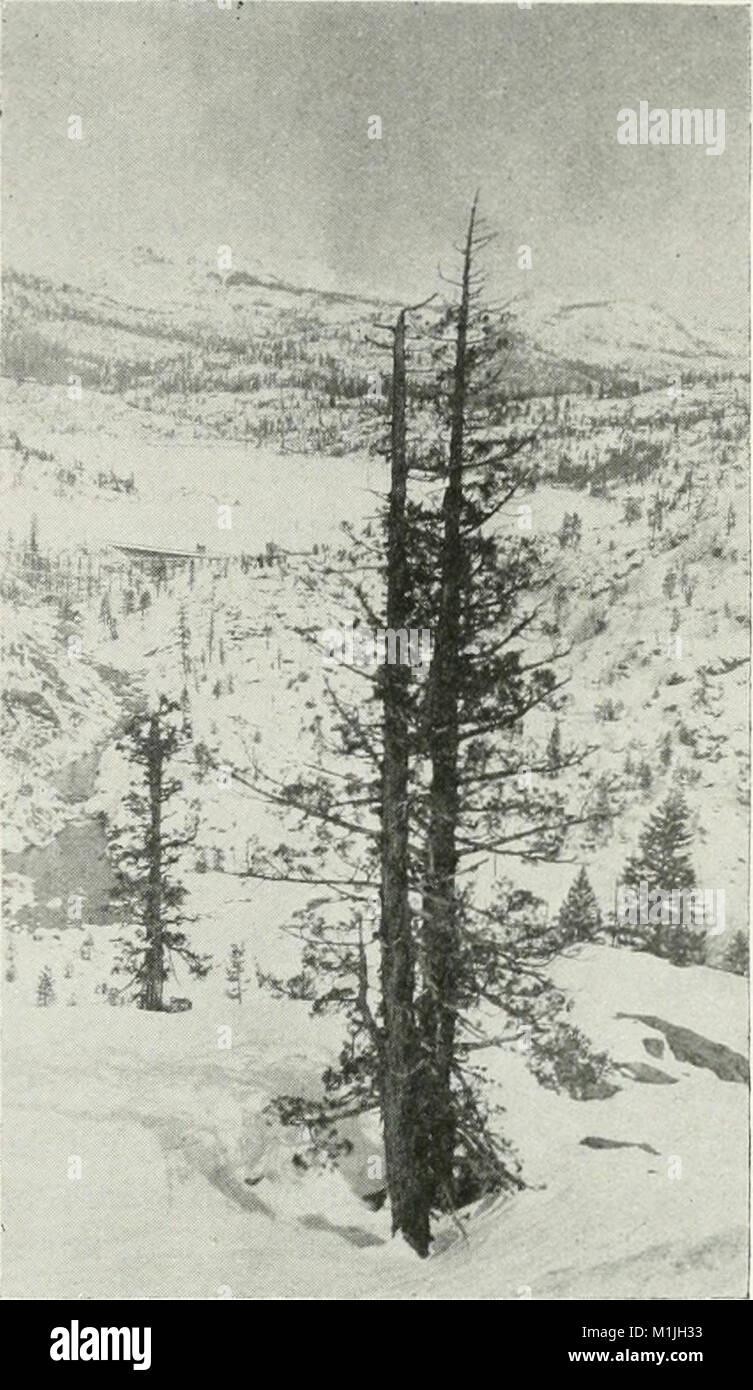 A winter view of Lake Spaulding Stock Photo - Alamy