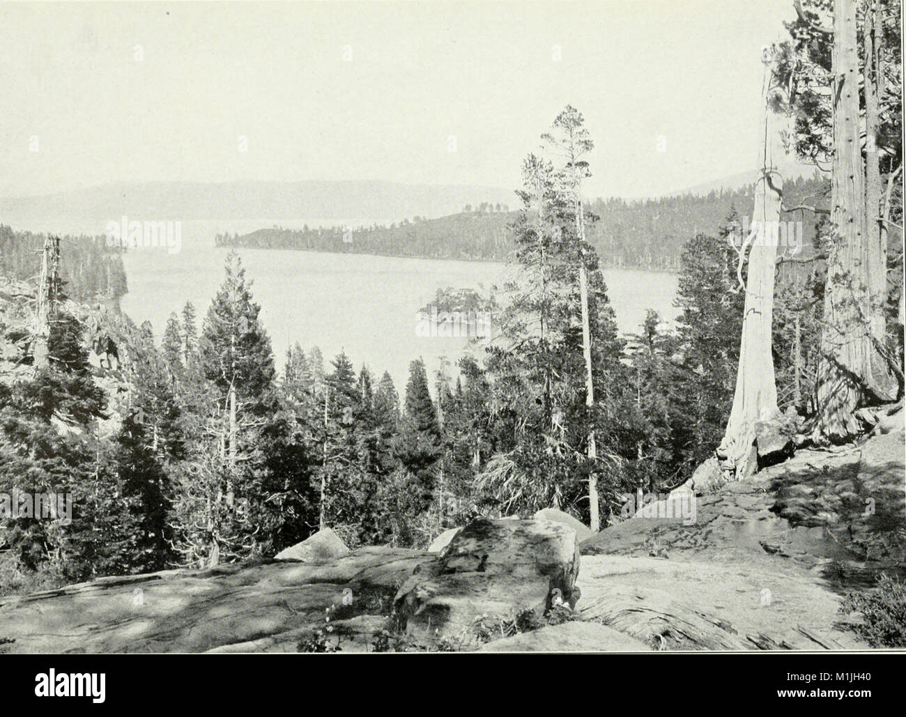 'American Forestry' (1910-1923) discusses the practices and ...
