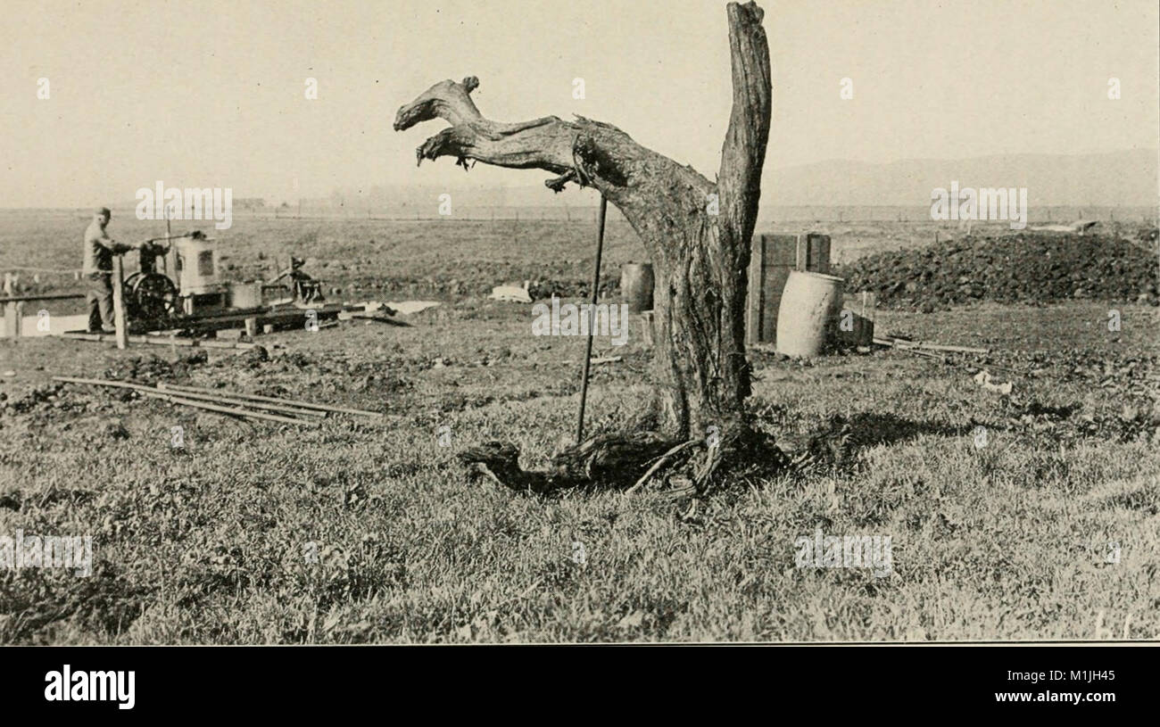 American Forestry (1910-1923) is a series of publications that document ...