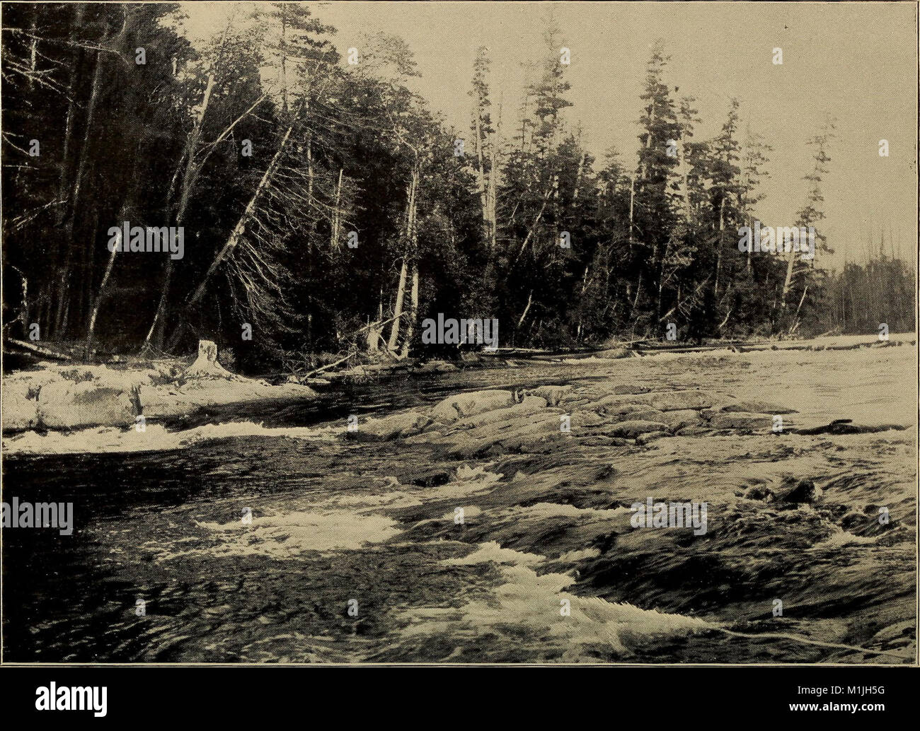 'An All-Around Boy' (1893) is a children's book that explores the ...