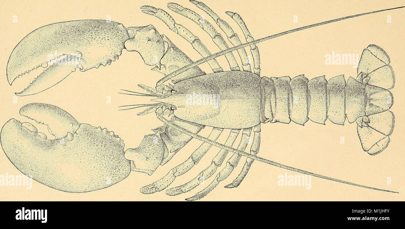 A manual of fish-culture, based on the methods of the United States ...