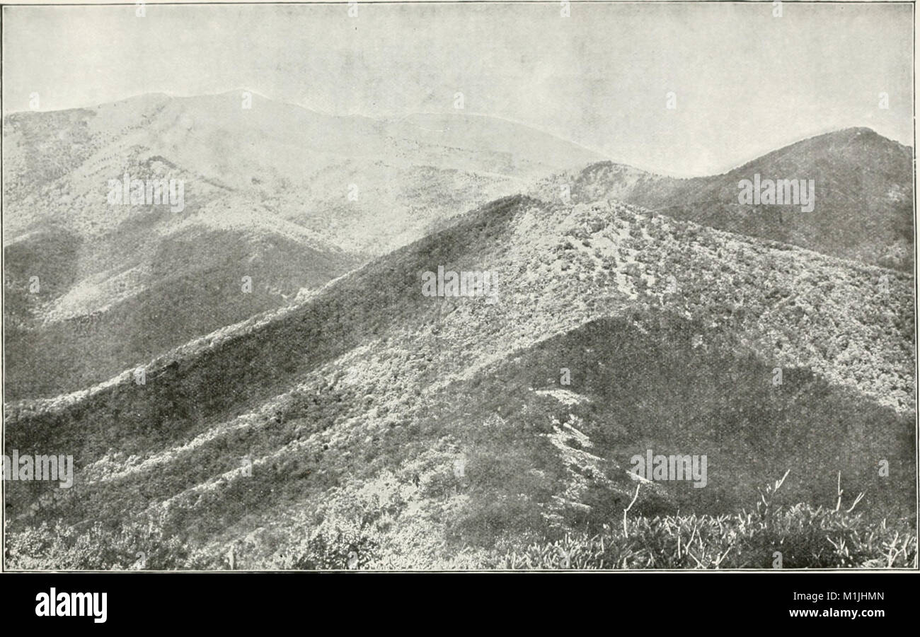 'American Forests' provides a comprehensive overview of the forest ...