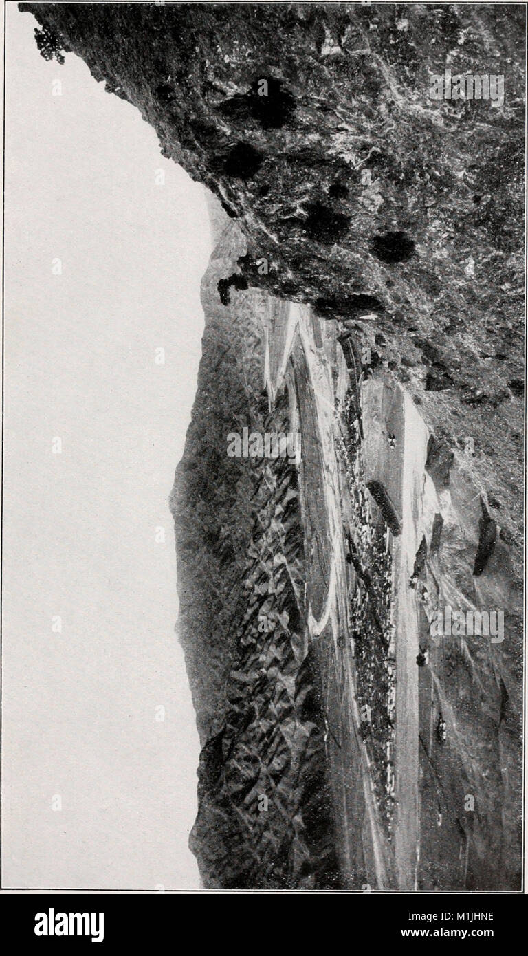 This work on *American Forests* offers an overview of the forested ...