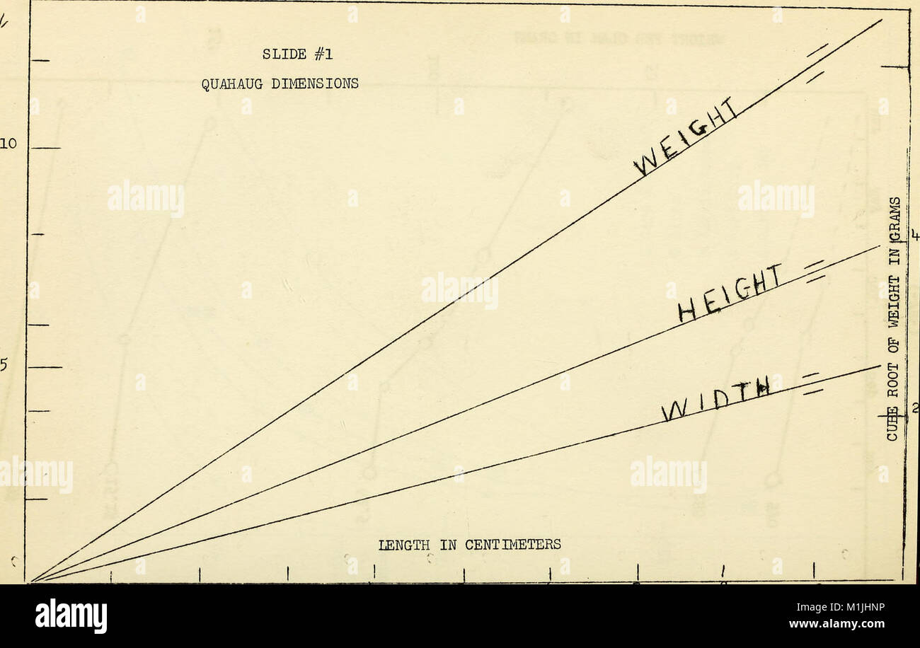 Shellfisheries hi-res stock photography and images - Alamy