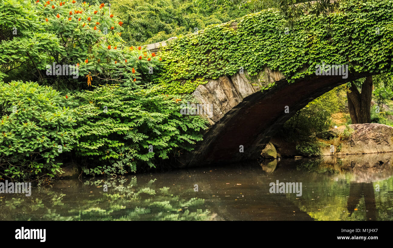 Arched stone bridge, Central Park, New York City Stock Photo - Alamy