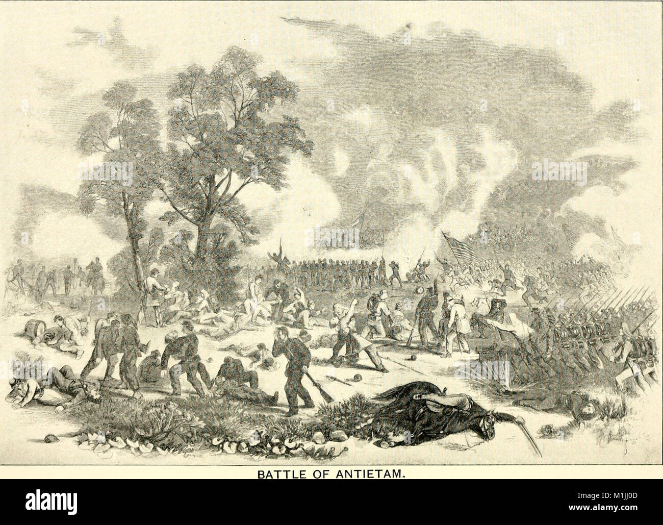 Angels of the battlefield - a history of the labors of the Catholic ...
