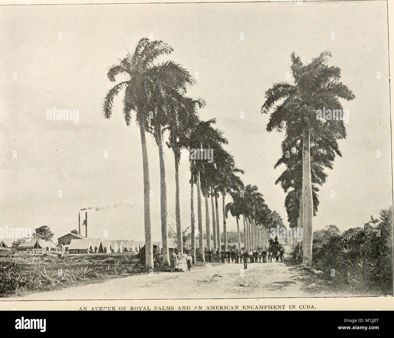 'American Forests' provides a comprehensive overview of forest ...