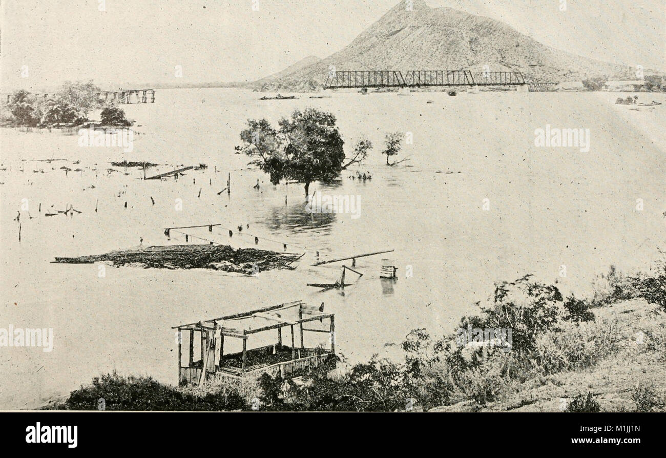 American Forests (1900s) is a publication focused on the conservation ...