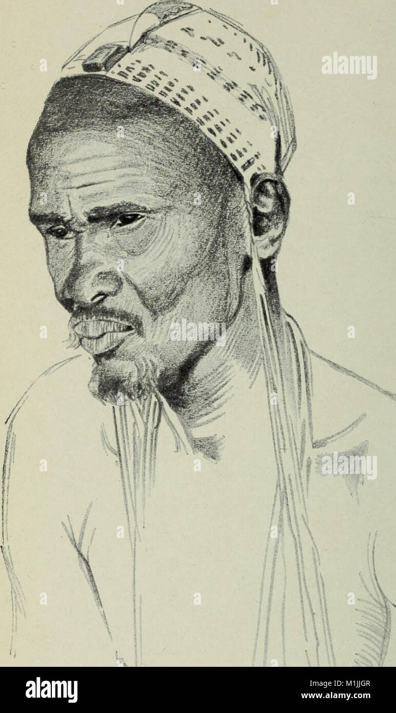 Bornu High Resolution Stock Photography and Images - Alamy