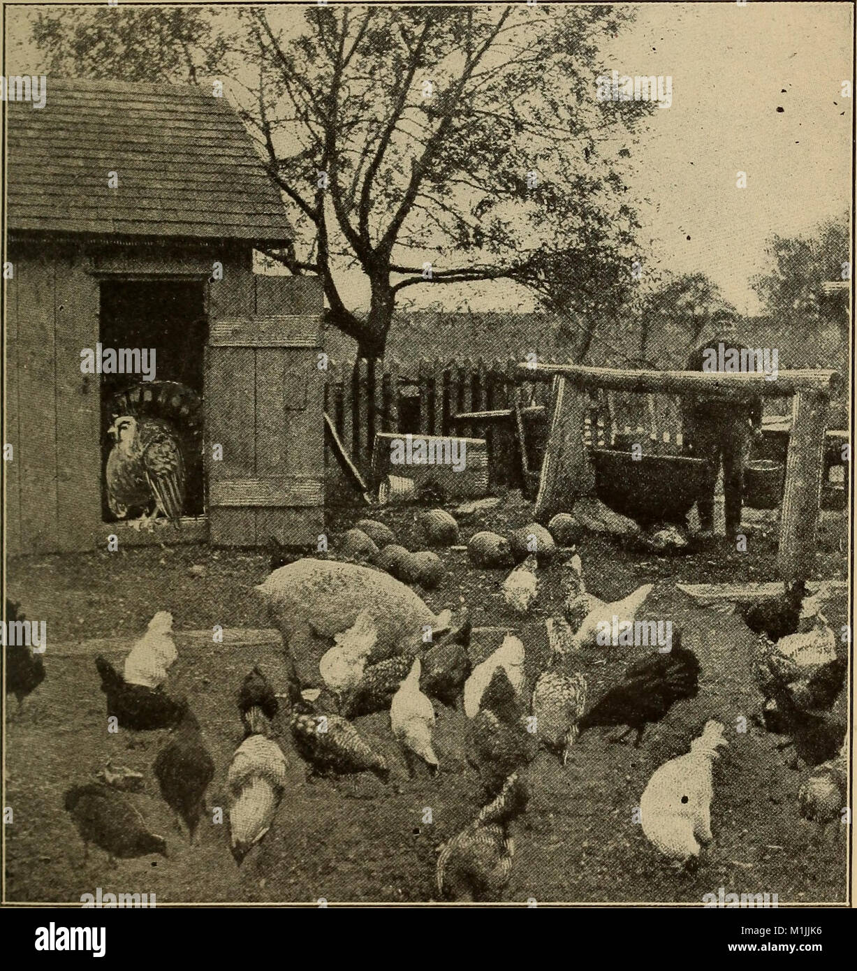 Typical human activities hi-res stock photography and images - Alamy