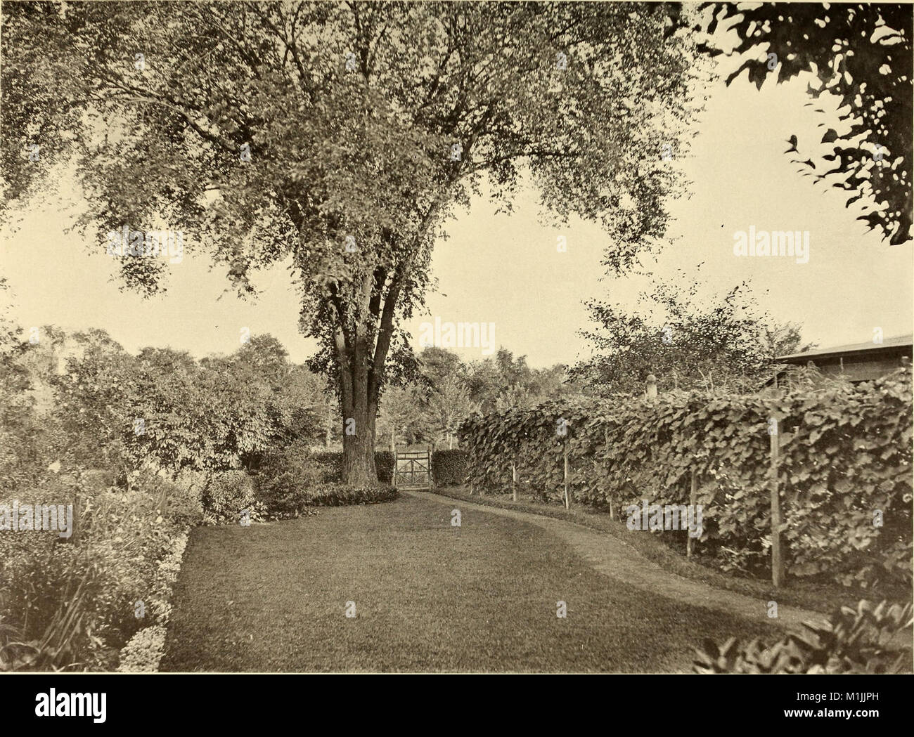 'American Homes and Gardens' (1910) offers insights into the design ...