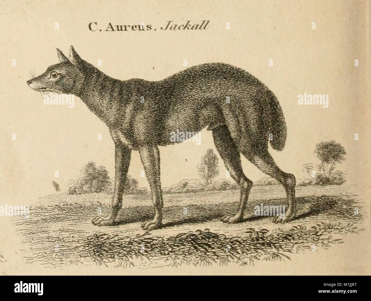 The London Encyclopaedia provides a comprehensive overview of science ...