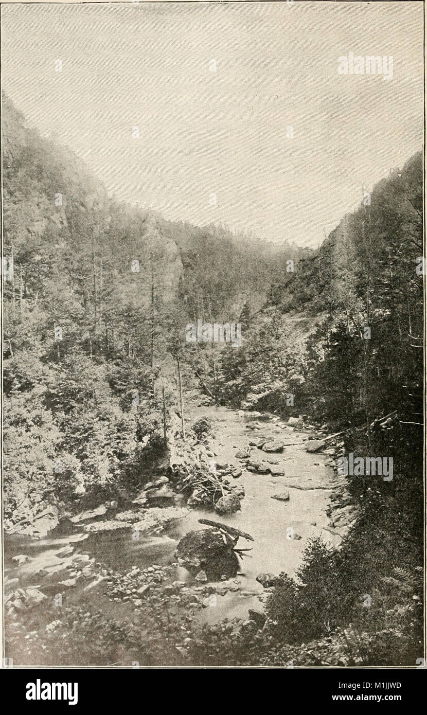 American Forests covers the ecology, management, and conservation of ...