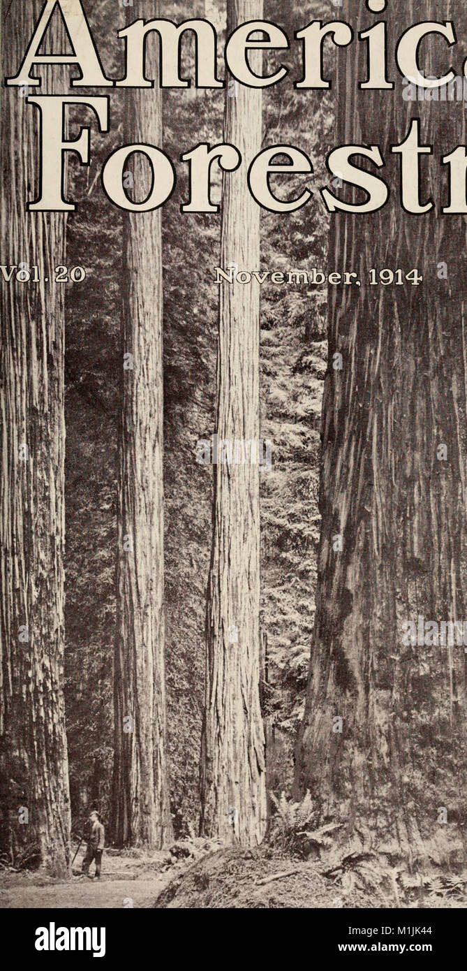 'American Forestry' (1910-1923) presents the development and practice ...