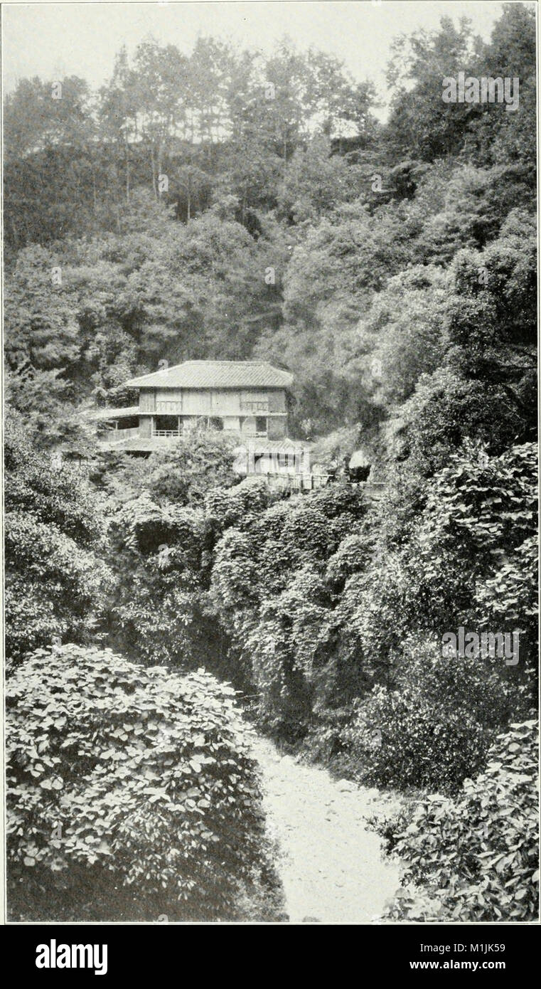 'American Forestry' (1910-1923) covers the history and development of ...