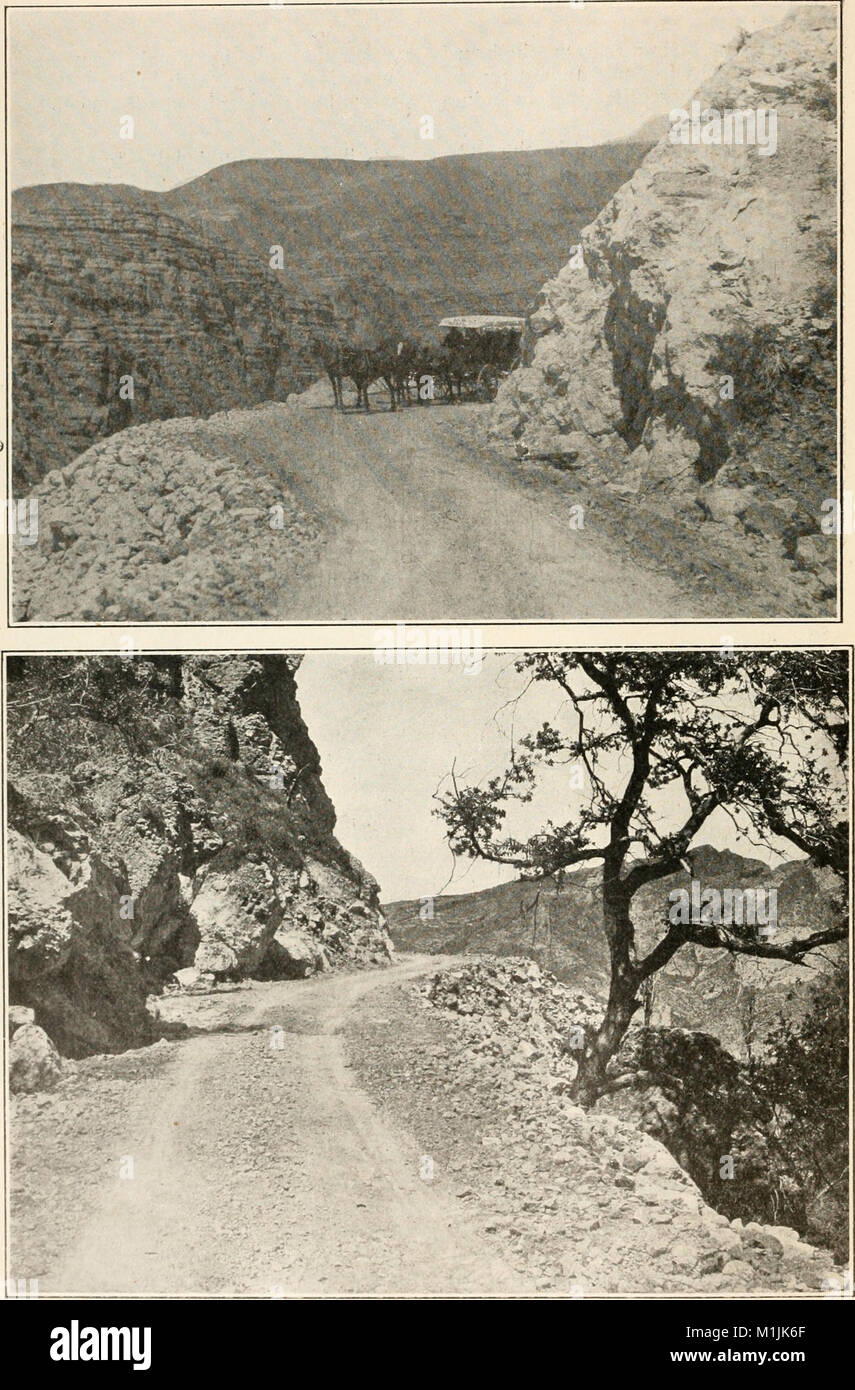 American Forests (1900s) is a publication focusing on the conservation ...