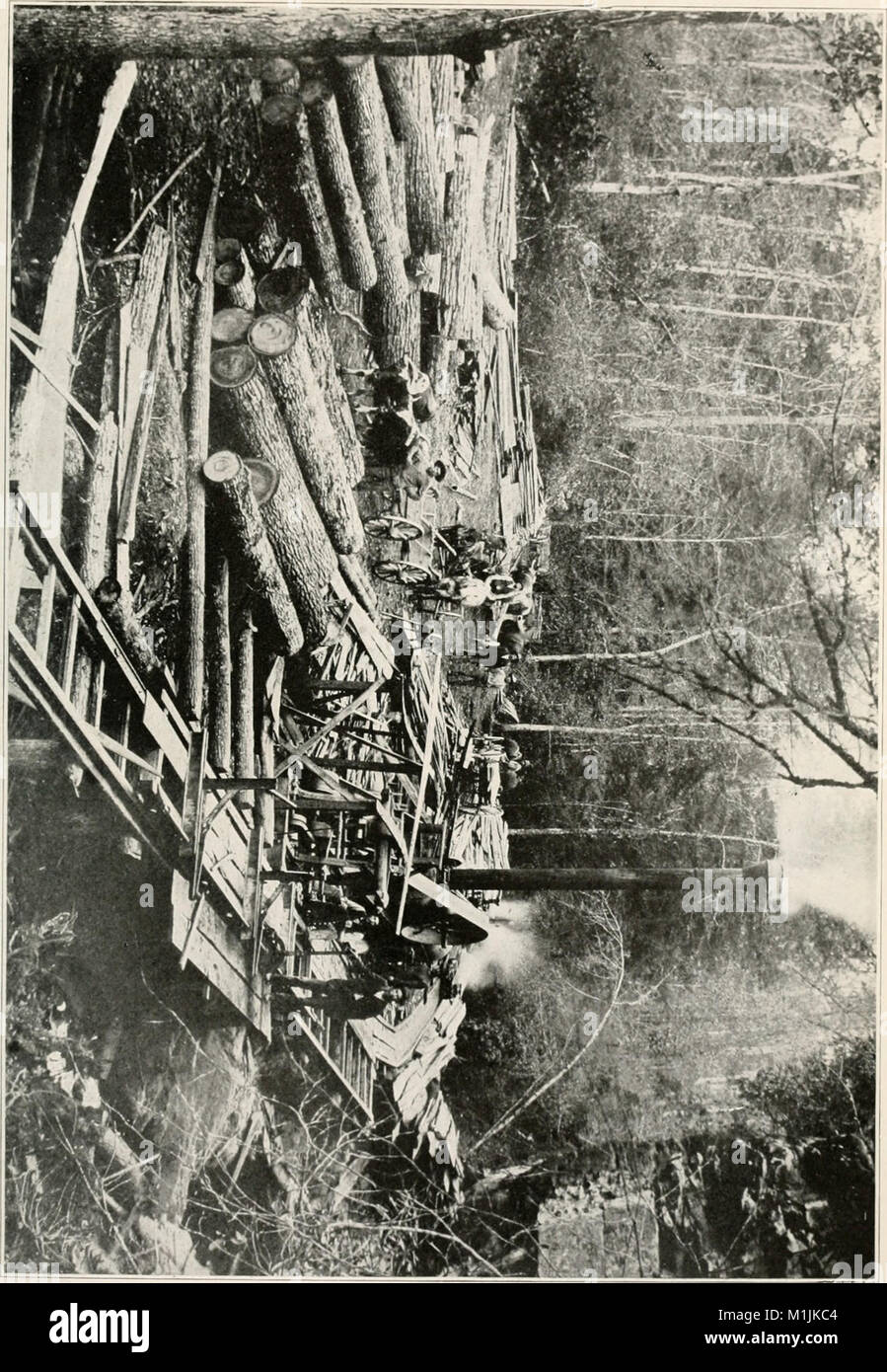 American Forestry (1910-1923) is a periodical documenting forestry ...