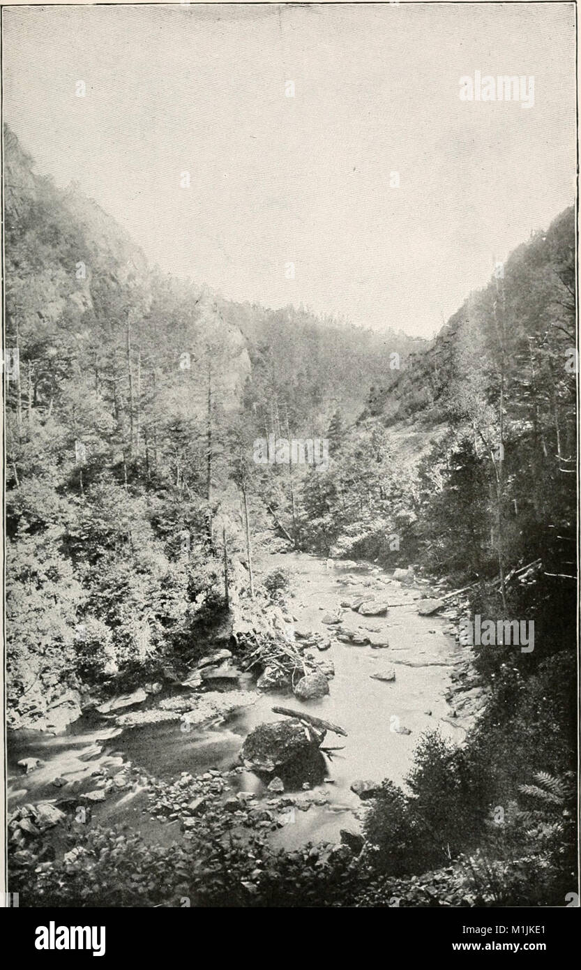 'American Forestry' (1910-1923) documents the development of forestry ...