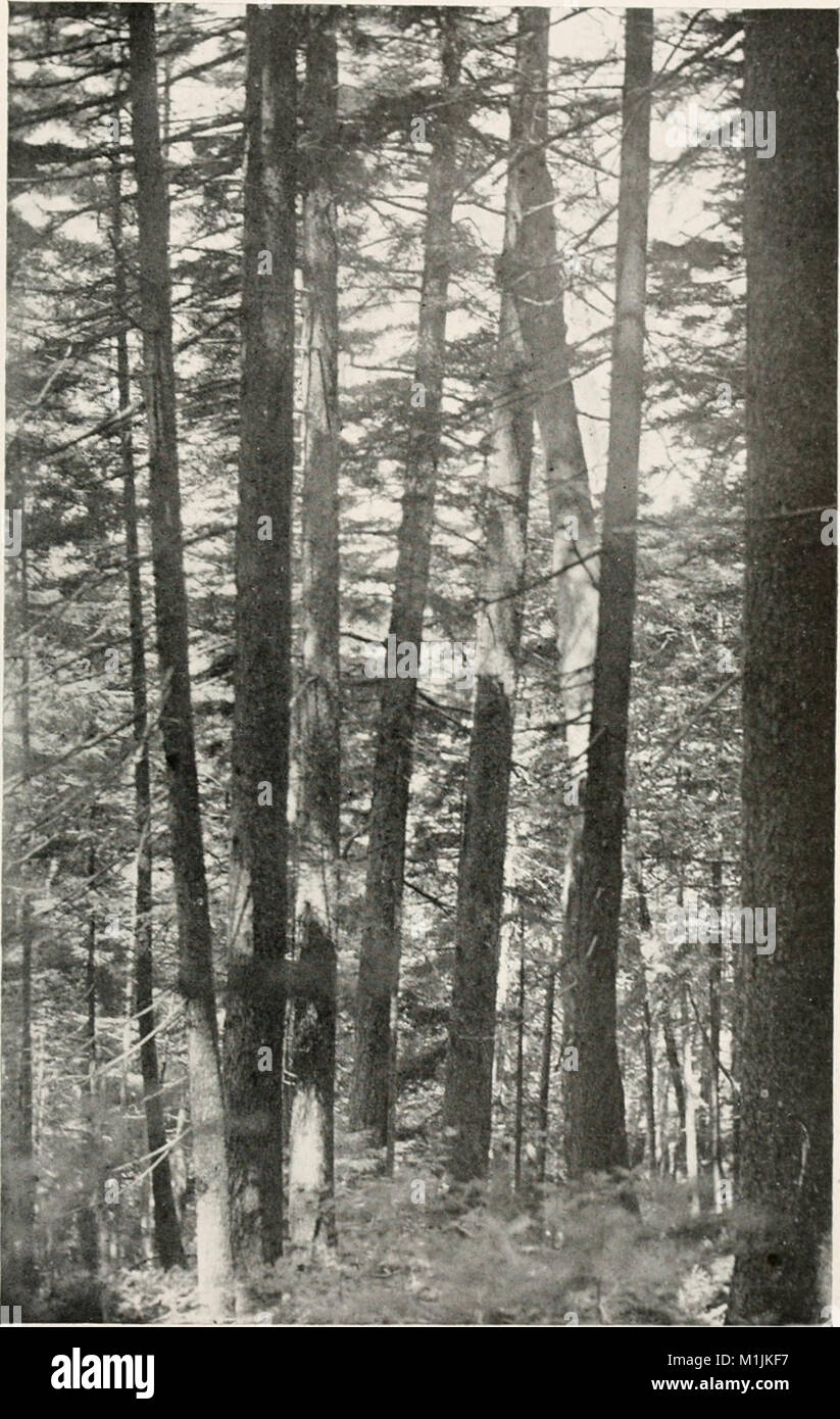 'American Forestry' (1910-1923) covers developments in the field of ...