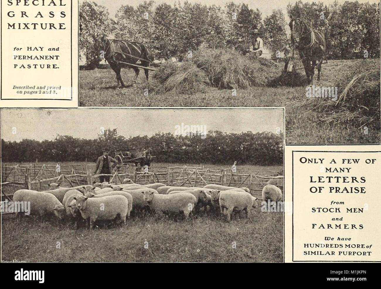 The 1904 'American Farmers' Manual' is a comprehensive guide to farming ...