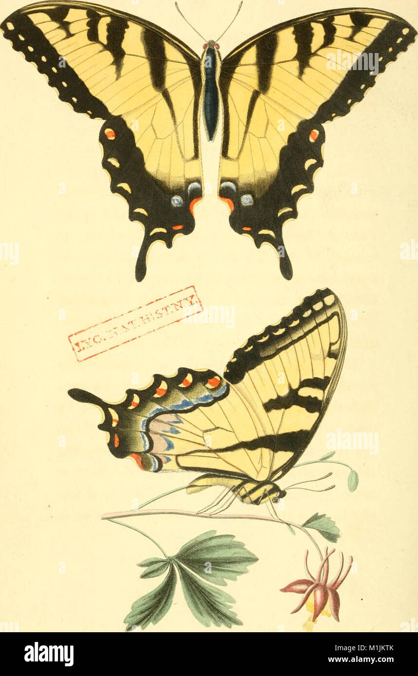 American entomology, or Descriptions of the insects of North America ...