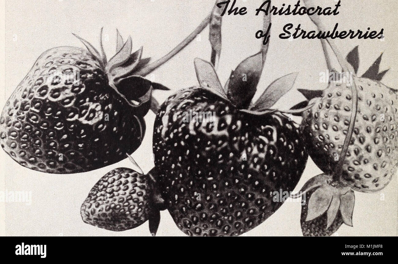 Allenâ€™s Book of Berries (1944) provides a comprehensive guide to ...