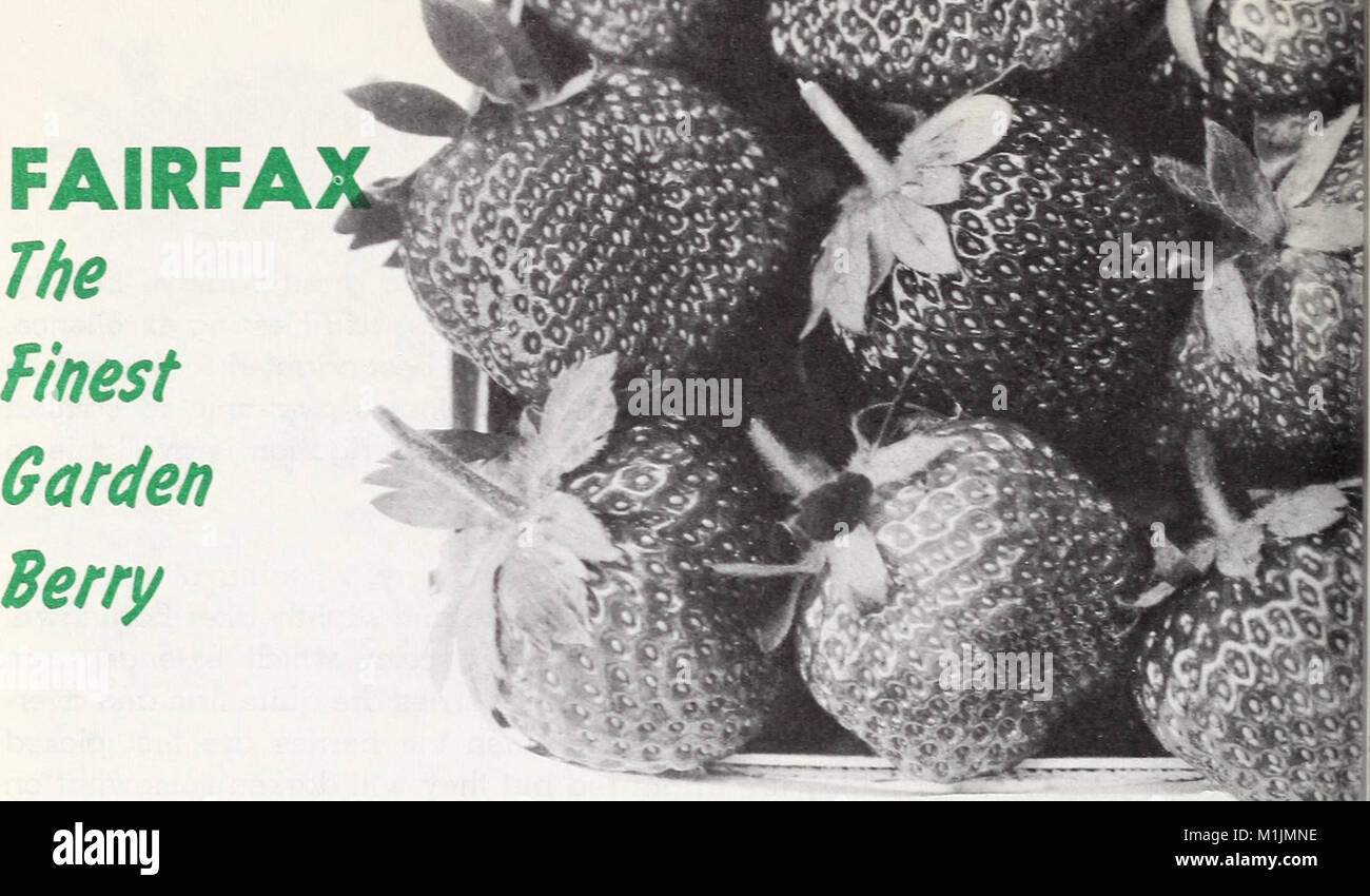 Allen's 1964 book of berries is a comprehensive guide to identifying ...