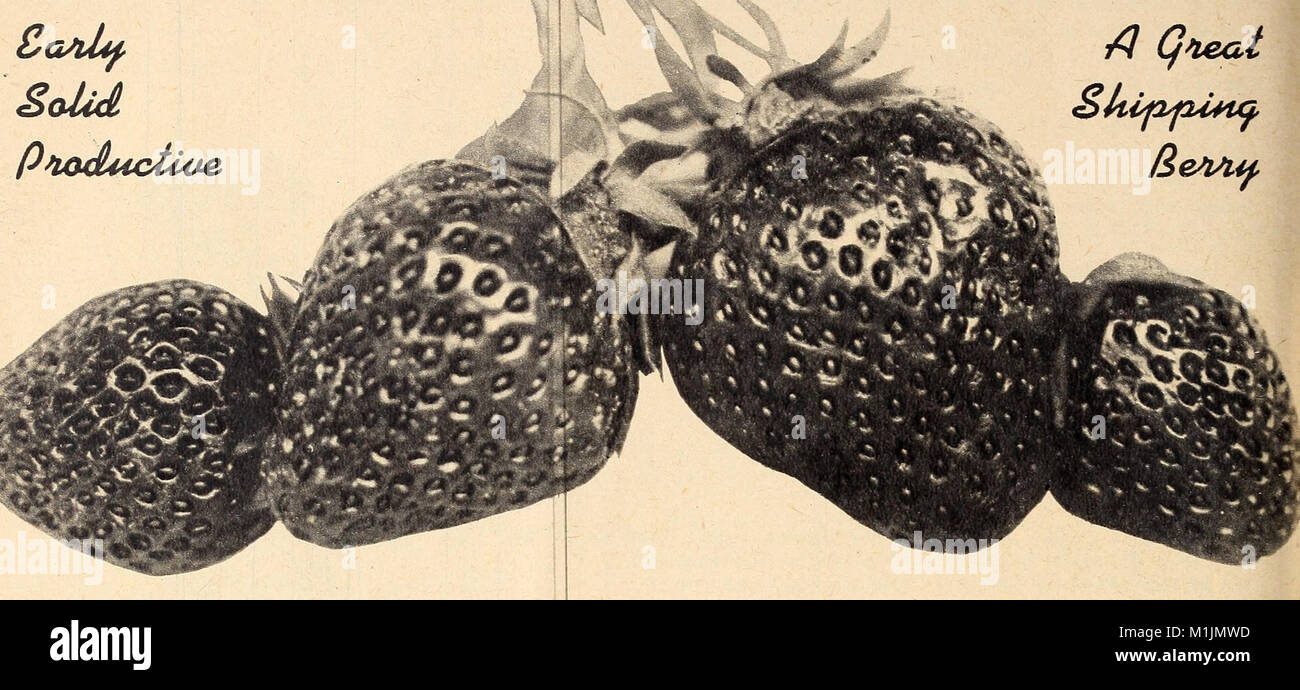 Identifying different types hi-res stock photography and images - Alamy