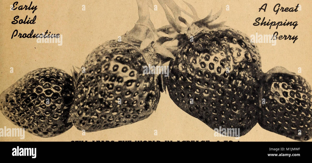 Allen's 1947 book provides an extensive guide to various types of ...